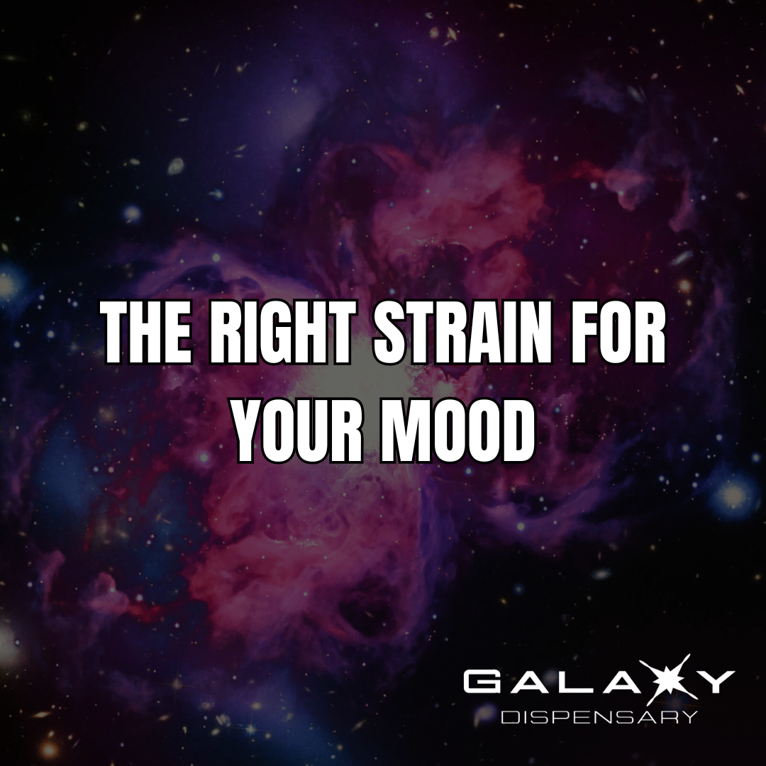 How to Choose the Right Cannabis Strain for Your Mood - Galaxy Dispensary