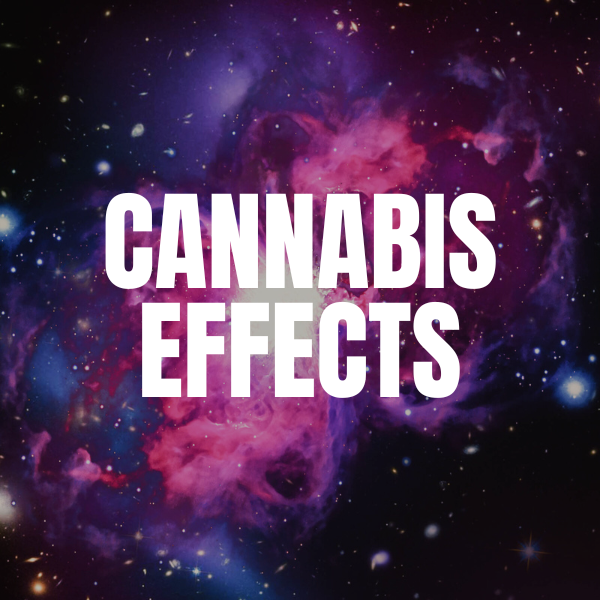 How Long Do the Effects of Cannabis Last? - Galaxy Dispensary